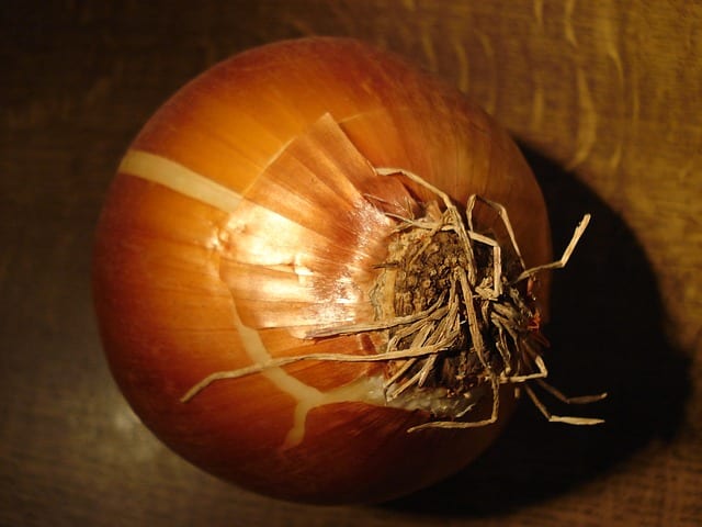 A Taste of Our Selection of Onions at Rainbow Gardens | Rainbow Gardens