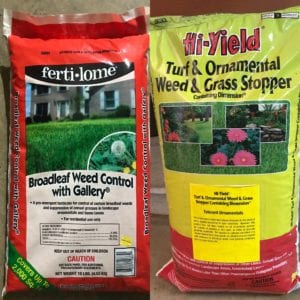 Come Check Out Our Garden Center | Rainbow Gardens