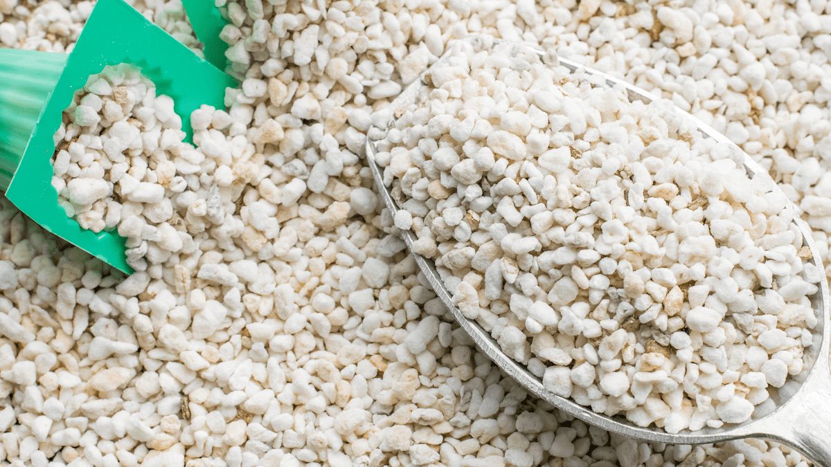 Add Perlite to Your Soil for Healthy, Strong, Root Development.