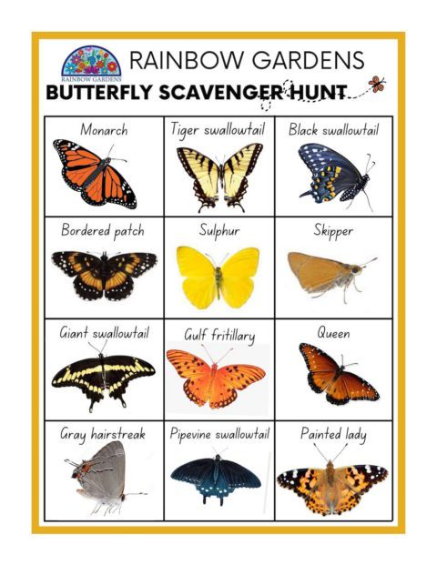 Butterfly Scavenger Hunt Rainbow Gardens | Rainbow Gardens