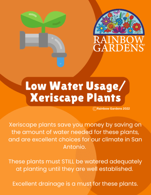 Low Water Usage Xeriscape Plants: Full File | Rainbow Gardens