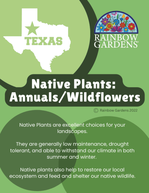 Native Plants: Annuals/Wildflowers | Rainbow Gardens