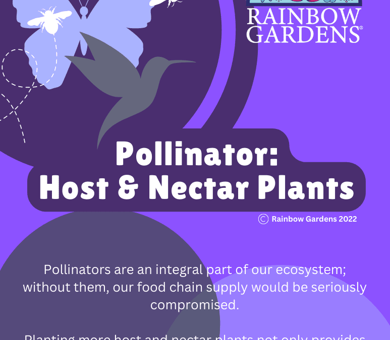Pdfs | Rainbow Gardens