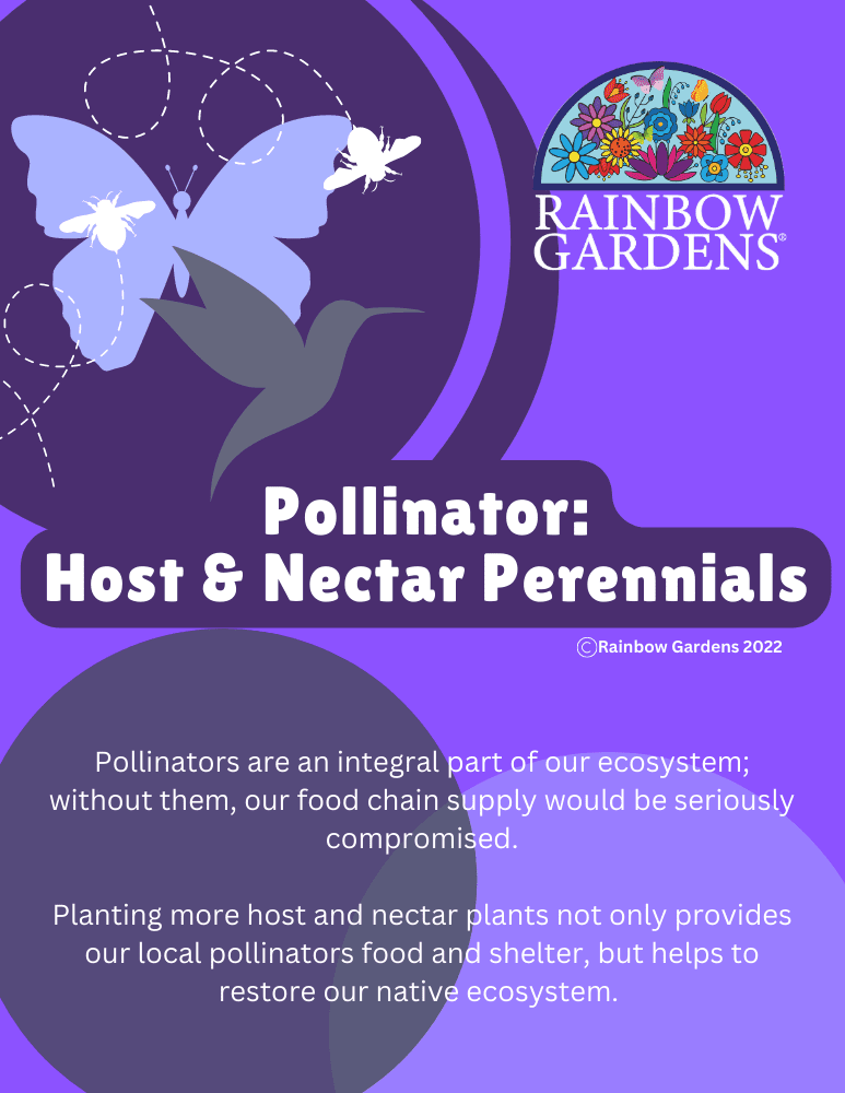 Pollinator Plants: Host and Nectar Perennials | Rainbow Gardens