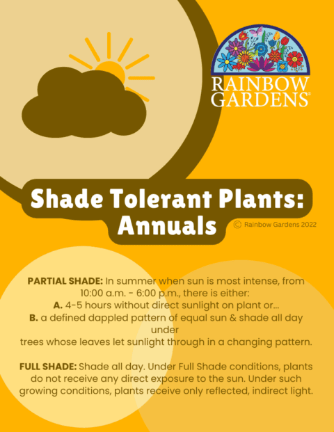 Full Shade & Part Shade Plants: Annuals | Rainbow Gardens