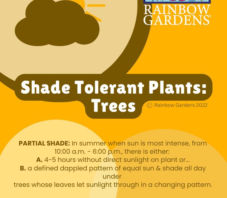 Pdfs | Rainbow Gardens