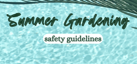 Summer Gardening Safety Guidelines | Rainbow Gardens
