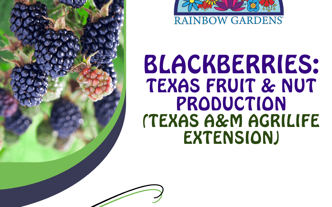 Pdfs | Rainbow Gardens