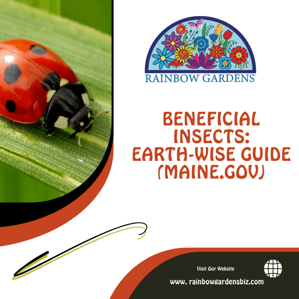 Beneficial Insects: Earth-Wise Guide | Rainbow Gardens