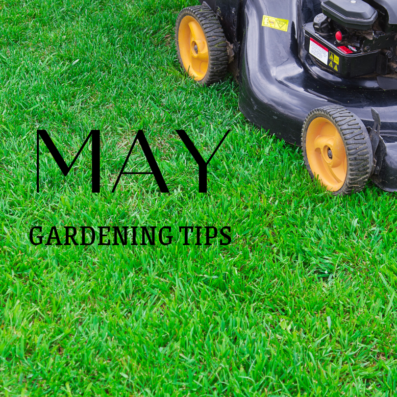 May Gardening Tips | Rainbow Gardens