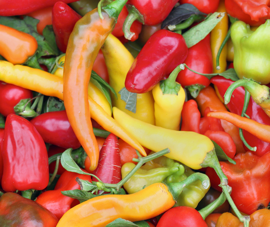 Thousand Oaks Store Map | Rainbow Gardens